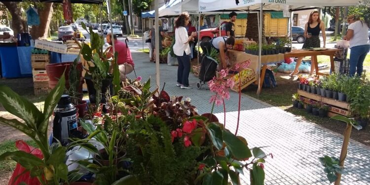 Adrogué: la feria de productores rurales, el clásico de los viernes