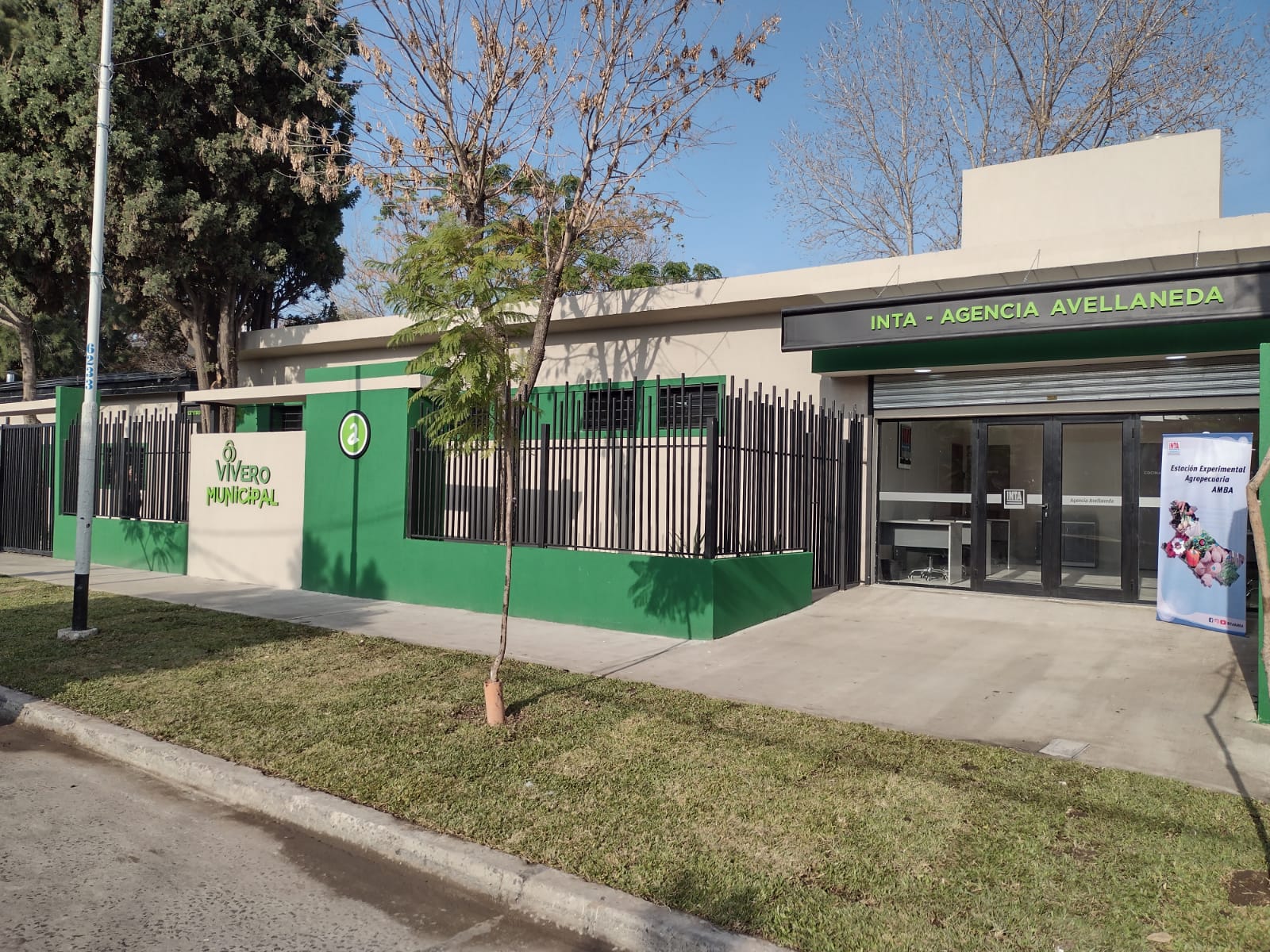 inta amba - Brown Online